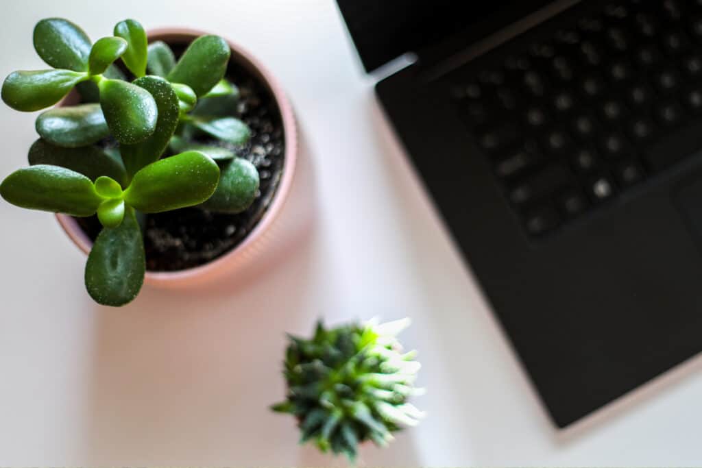 9 Reasons Why You NEED To Have Succulents In Your Office – Succulents ...